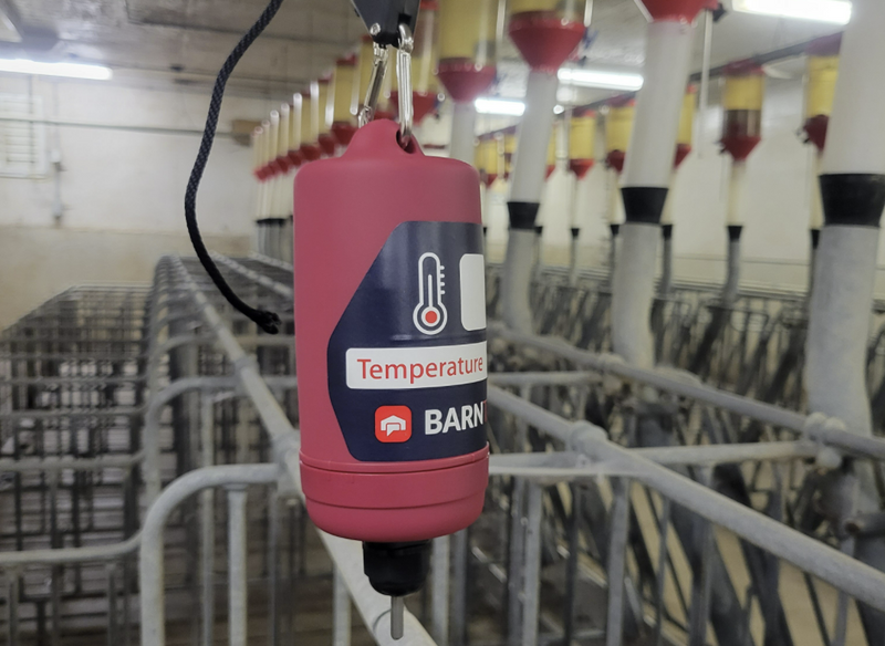 BarnTools - BarnTalk for Pork Producers and Growers