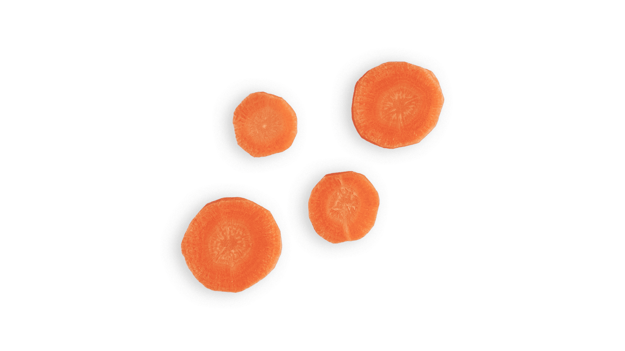 Monster Pet Food | Our ingredients