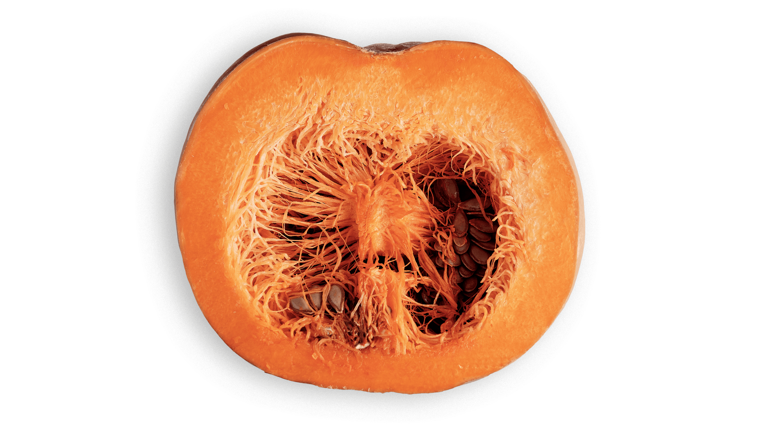 Monster Pet Food | Våra ingredienser