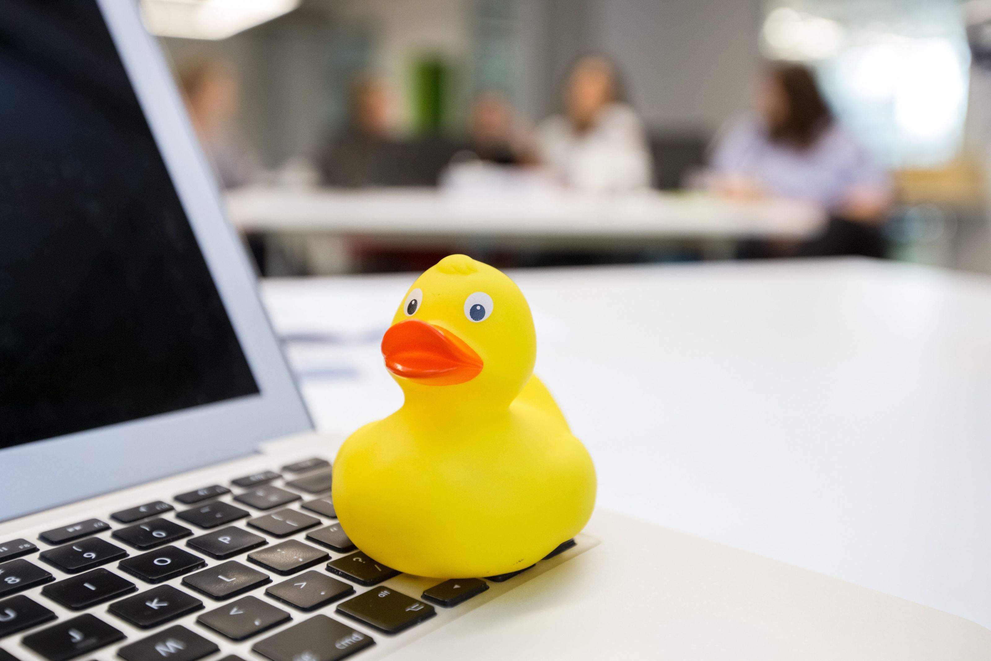 Codie the Duck | Mastery Coding's Mascot