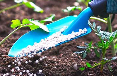 A Complete Guide to 4 Type of Fertilizer Packaging Bag
