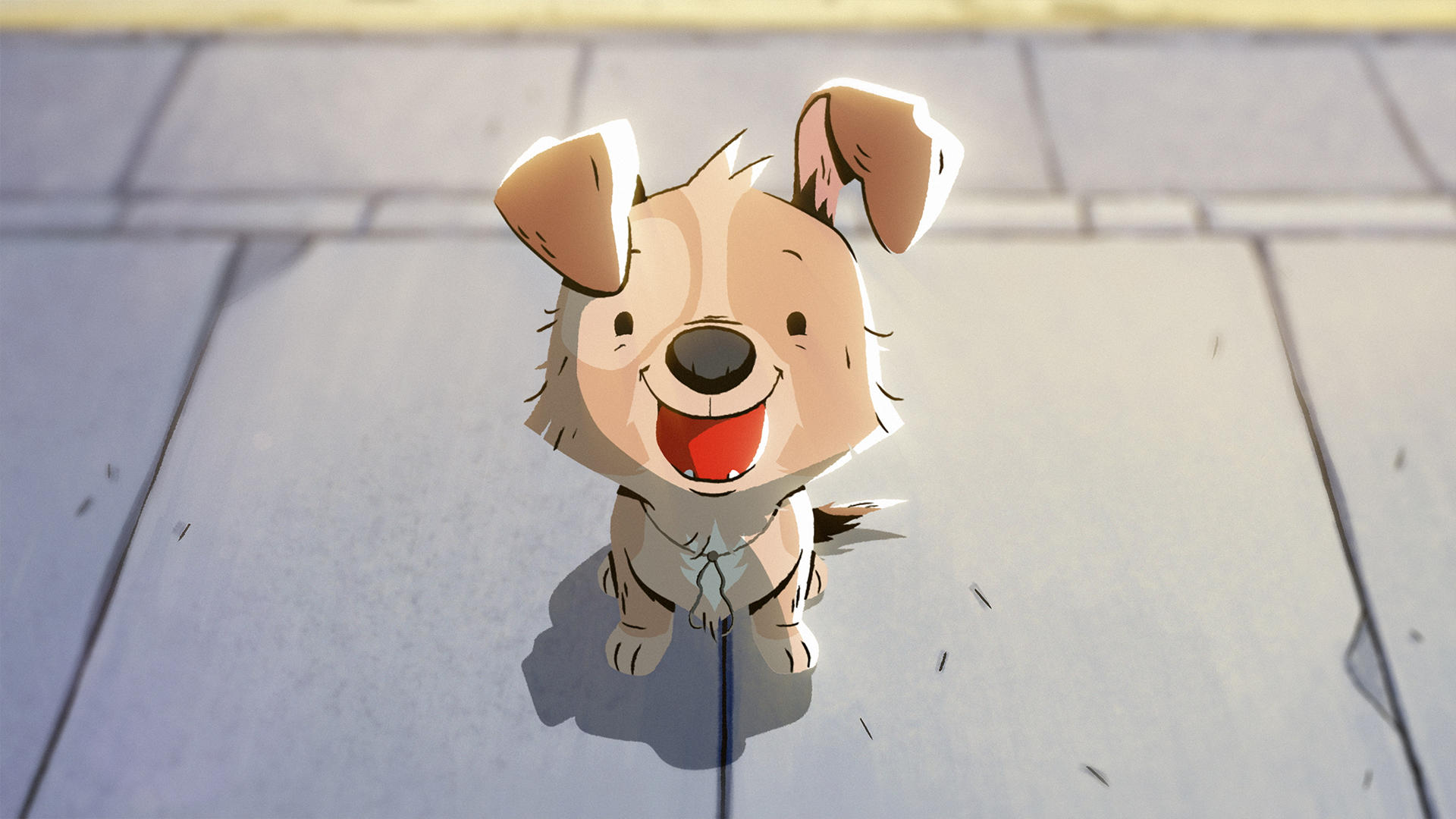 Animagic Studios - Canelo