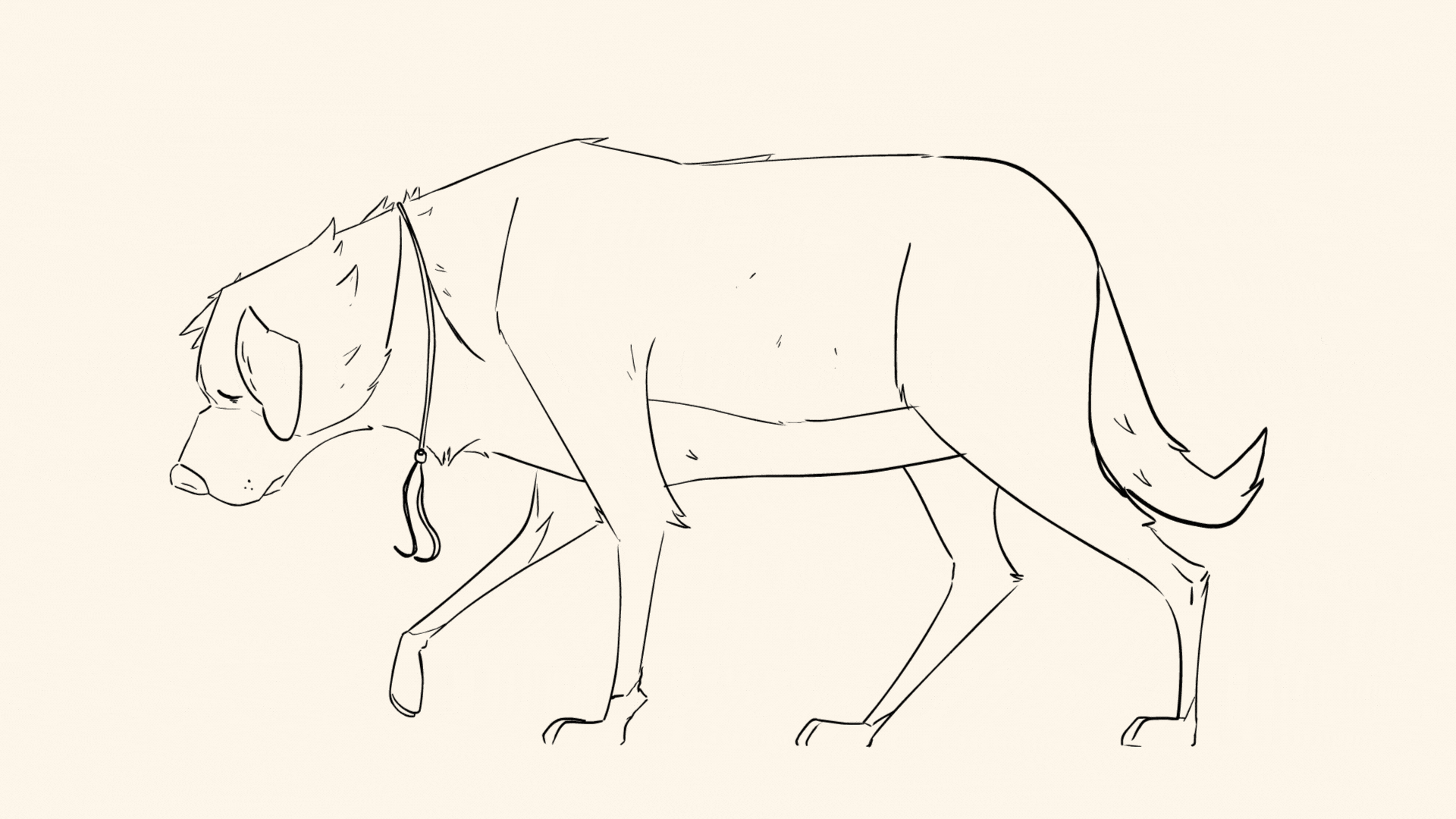 Animagic Studios - Canelo