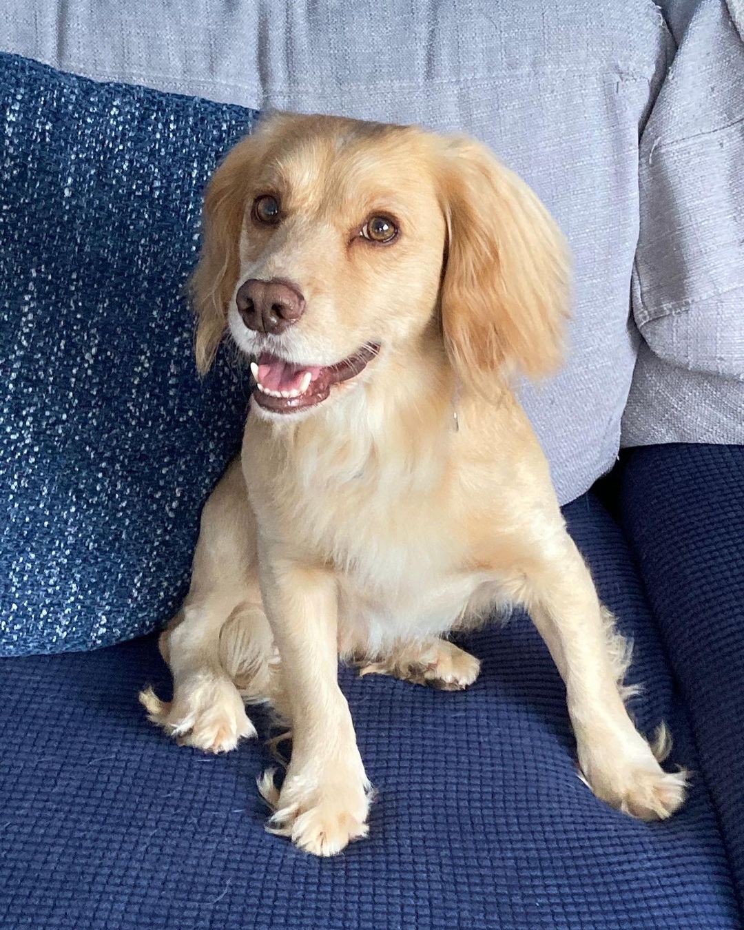 Our Team | Griffithstown Primary School, Pontypool, Torfaen