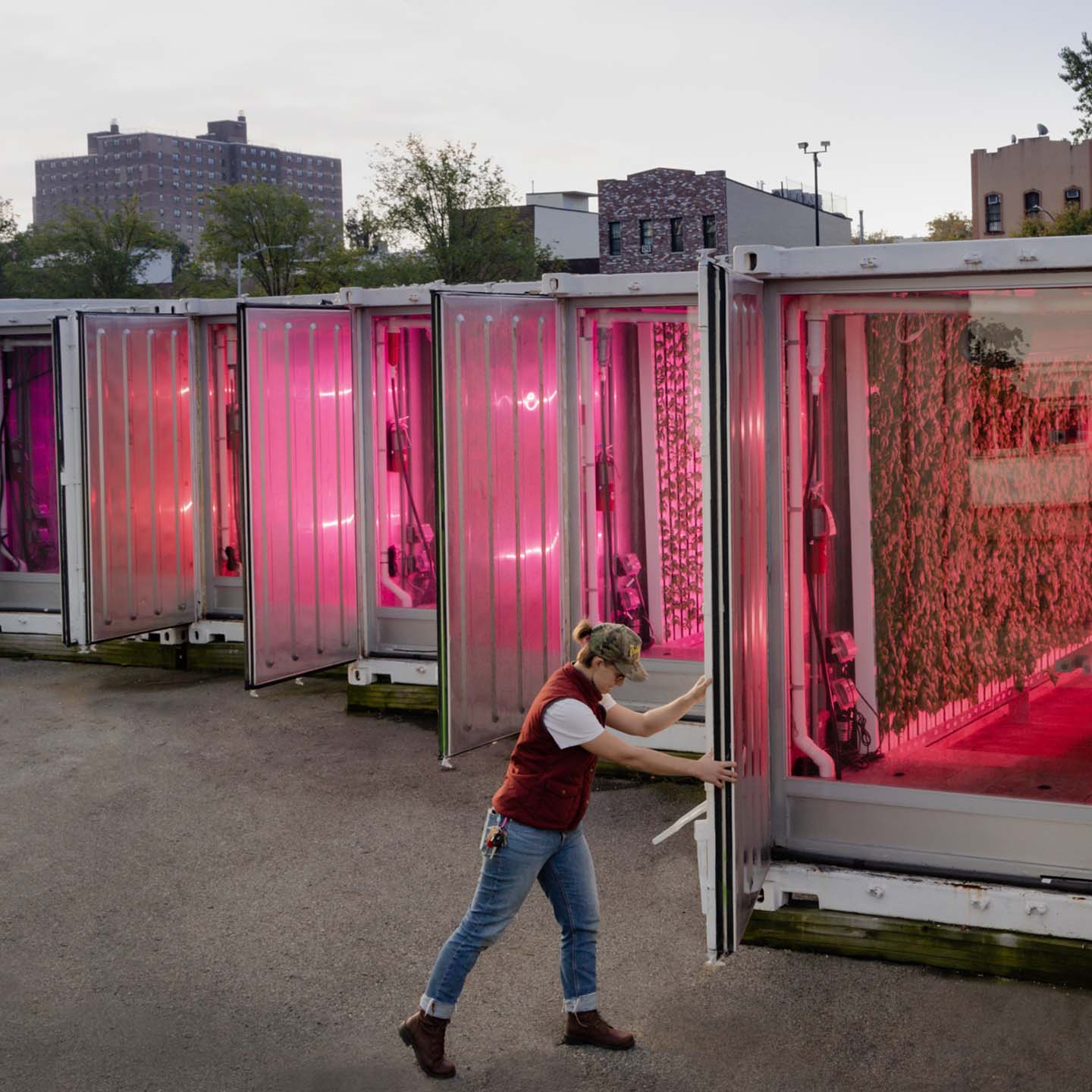 10 Ways Square Roots’ Farm-Tech Platform Empowers the Next Generation ...