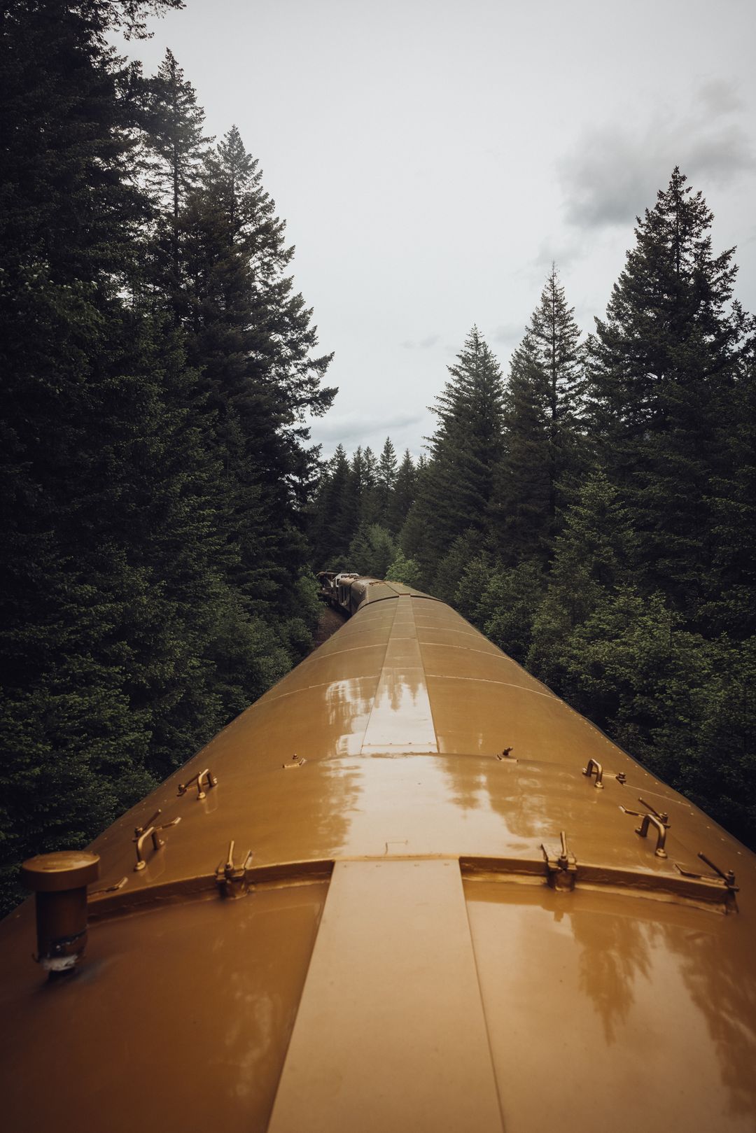 Blog - The Rocky Mountaineer: Journey Through the Clouds