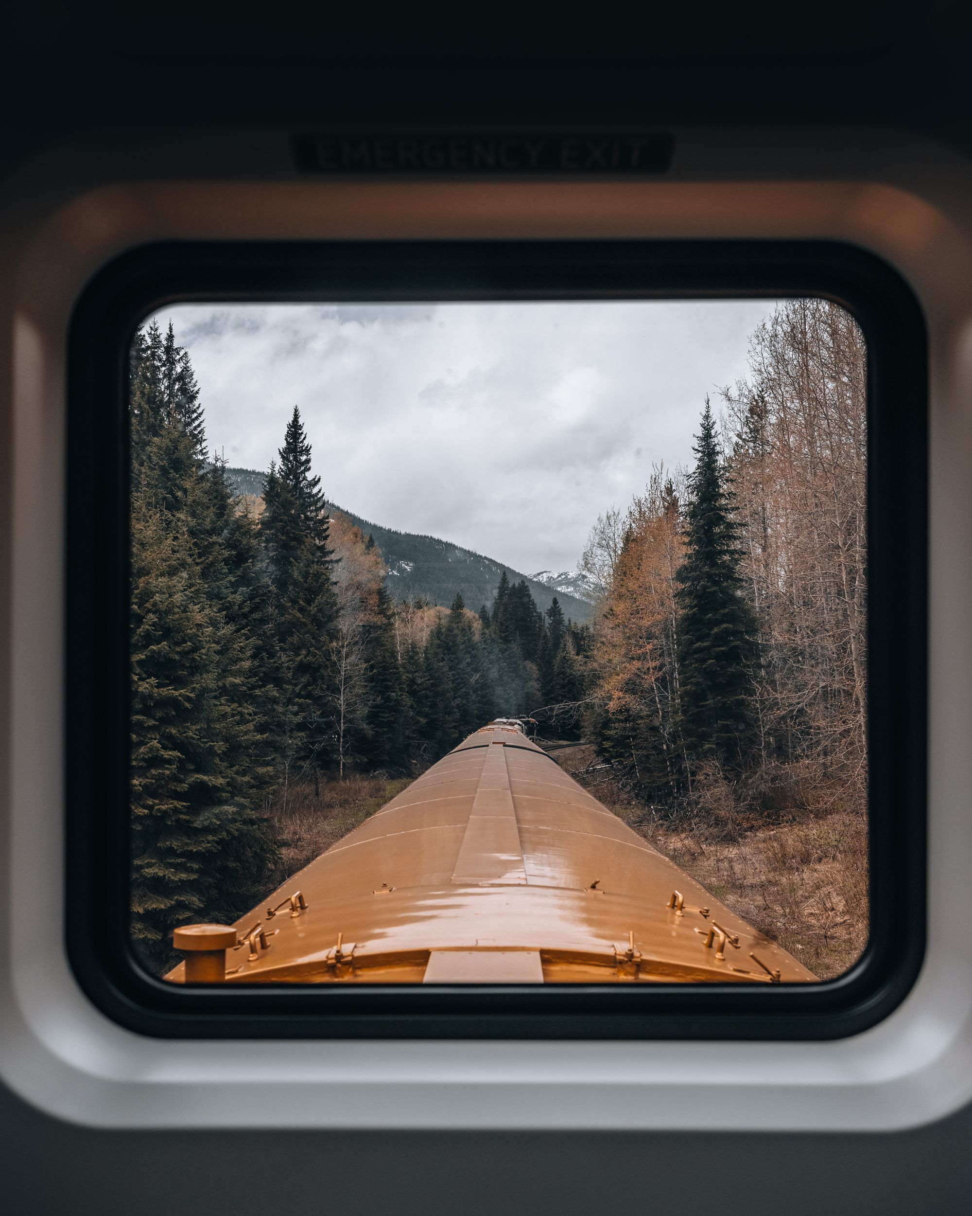 Blog - The Rocky Mountaineer: Journey Through the Clouds