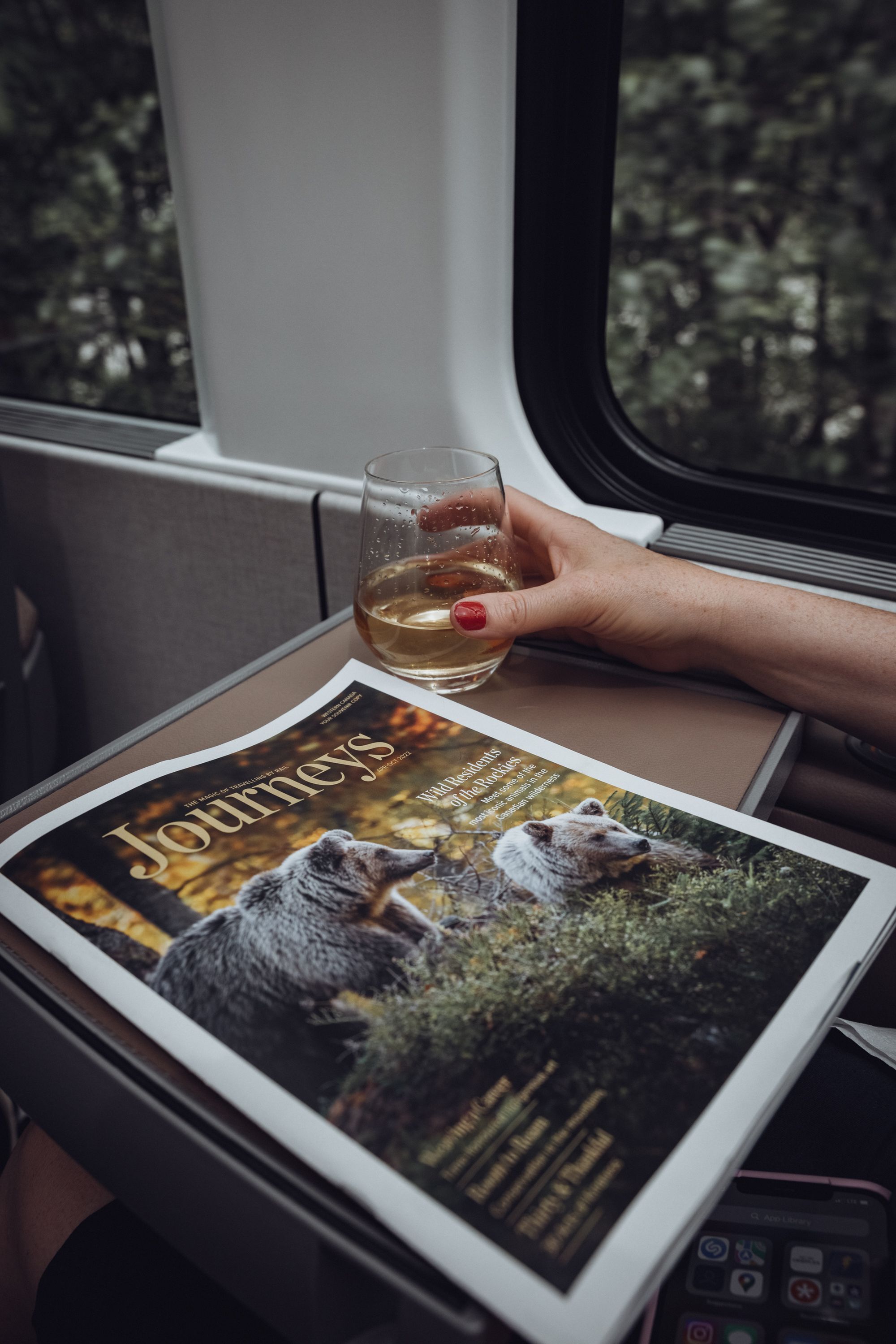 Blog - The Rocky Mountaineer: Journey Through the Clouds