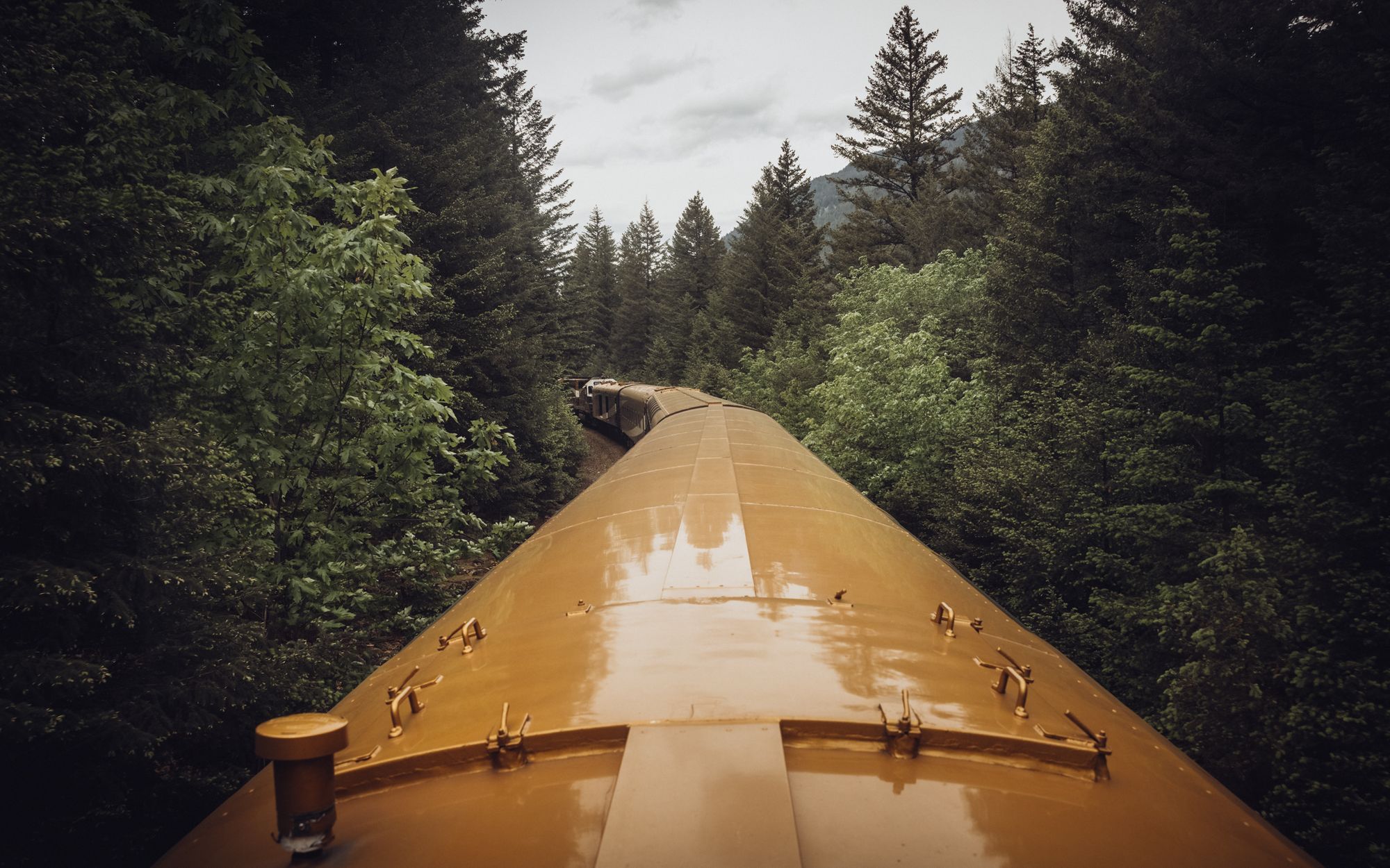 Blog - The Rocky Mountaineer: Journey Through the Clouds