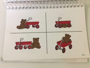 Speech and Language Assessment – Pediatric (Standardized Tests)