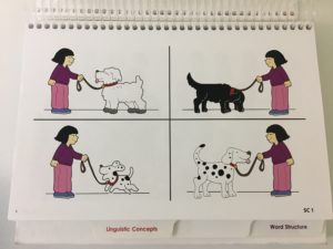 Speech and Language Assessment – Pediatric (Standardized Tests)