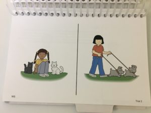 Speech and Language Assessment – Pediatric (Standardized Tests)