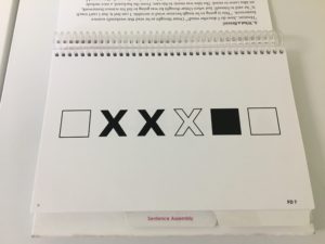 Speech and Language Assessment – Pediatric (Standardized Tests)