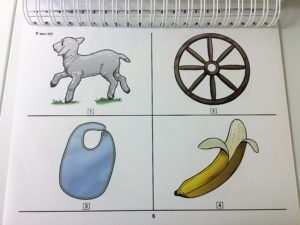 Speech and Language Assessment – Pediatric (Standardized Tests)