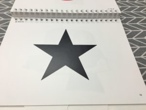 Speech and Language Assessment – Pediatric (Standardized Tests)