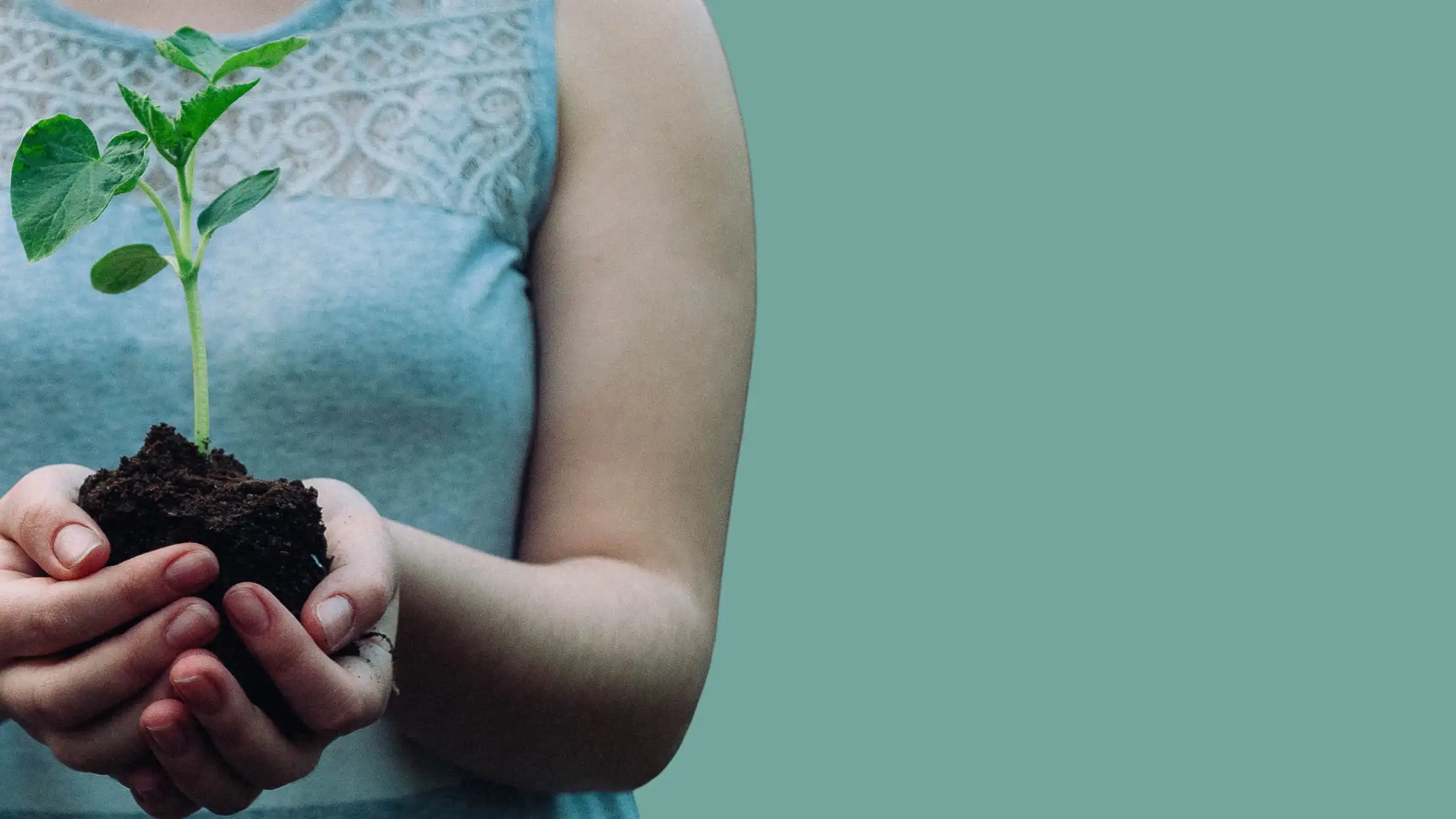 What is the SEIS and how does it work - Earnr