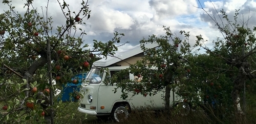 Selson Farm - Campsite near Sandwich - Fallow Fields Camping