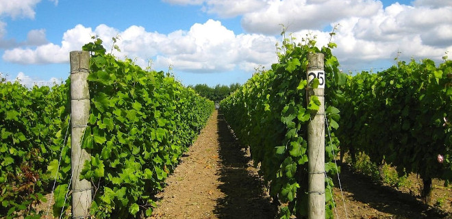 Amazing Things To Do - Fallow Fields Camping