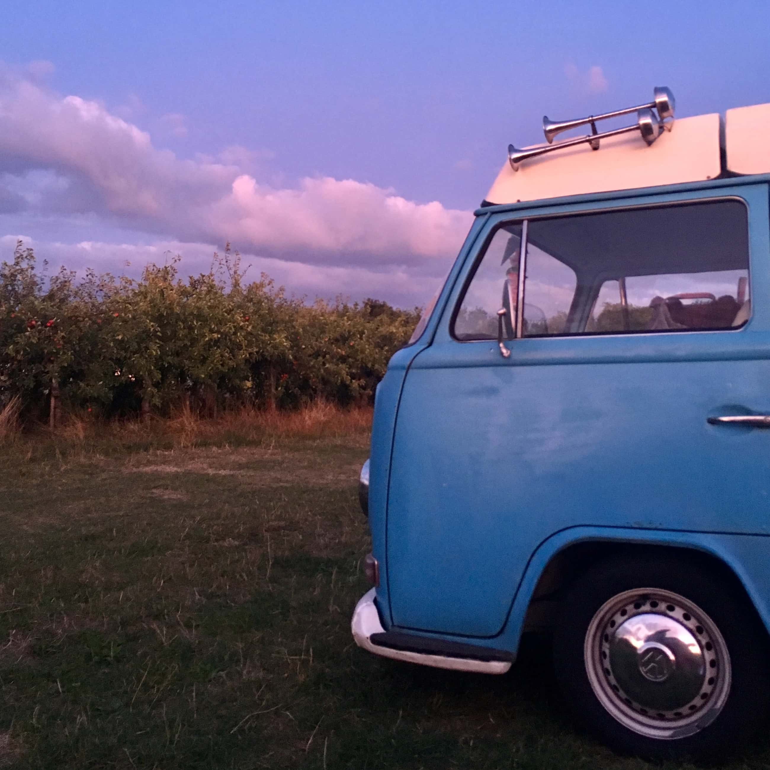 Selson Farm - Campsite near Sandwich - Fallow Fields Camping