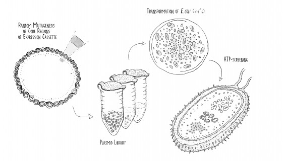 Introducing VB Evolution