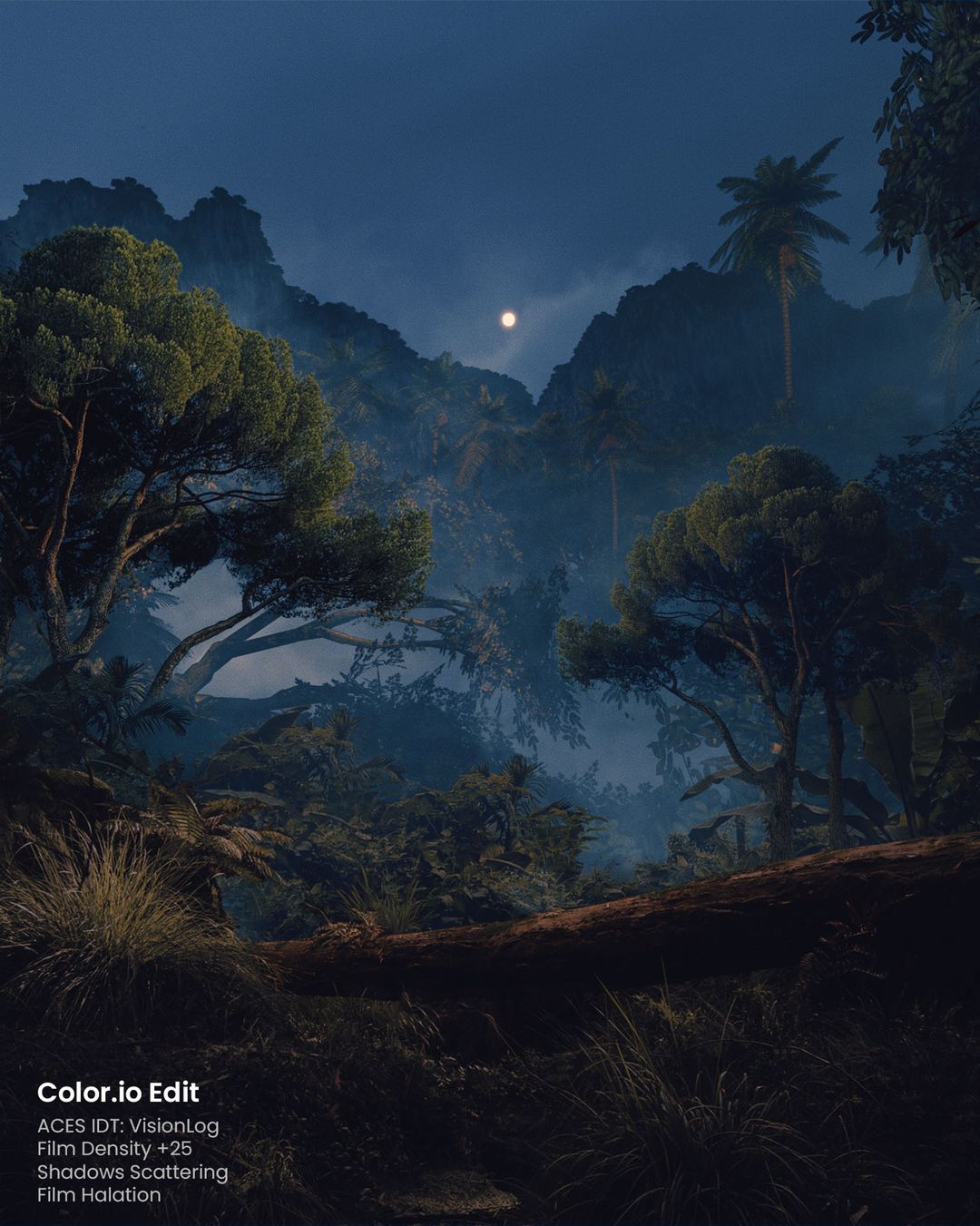 A New Alternative to Adobe Lightroom | Color.io - Online Raw Editor