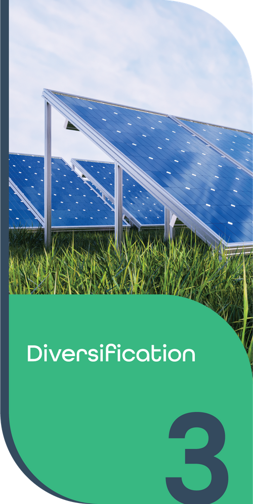 Hawaii Gas | The Clean Energy Company