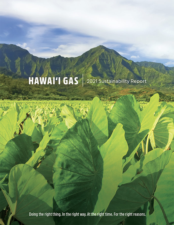 Clean Energy | Hawaii Gas