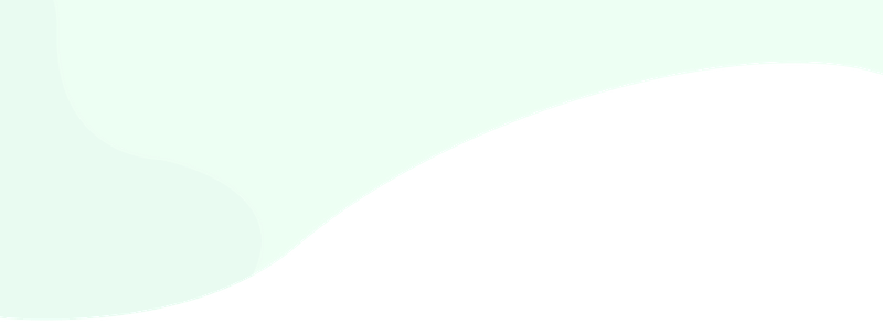 Toonimo – Digital Adoption, Amplified