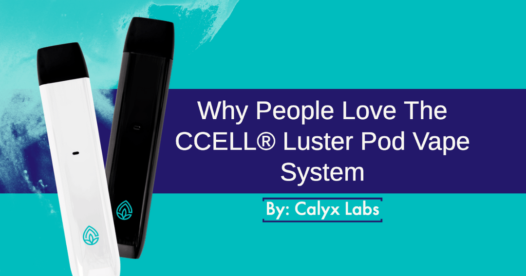 Why People Love The CCELL® Luster Pod Vape System
