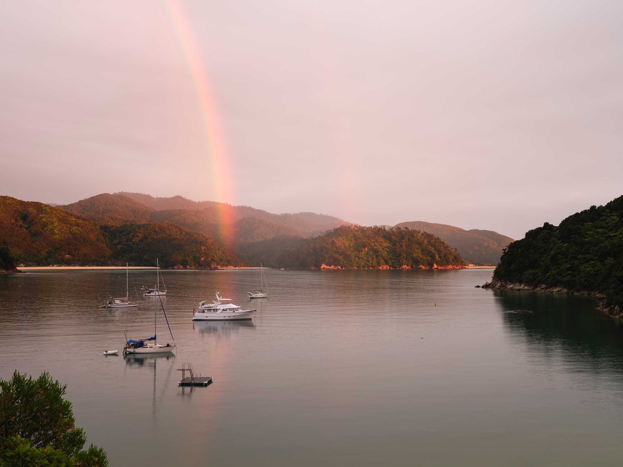 Easy Silence | Features | Here Magazine