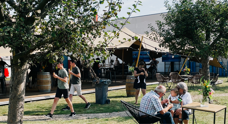 Festor - Festive Creators