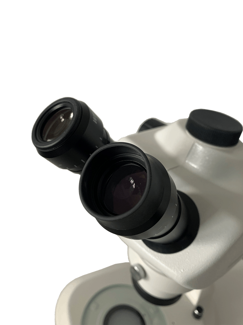 PAG 800 | Projectina