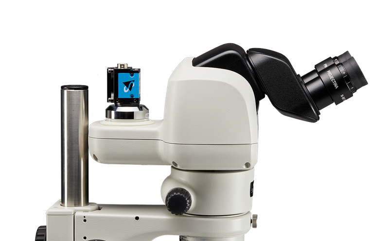 PAG 1000 | Projectina