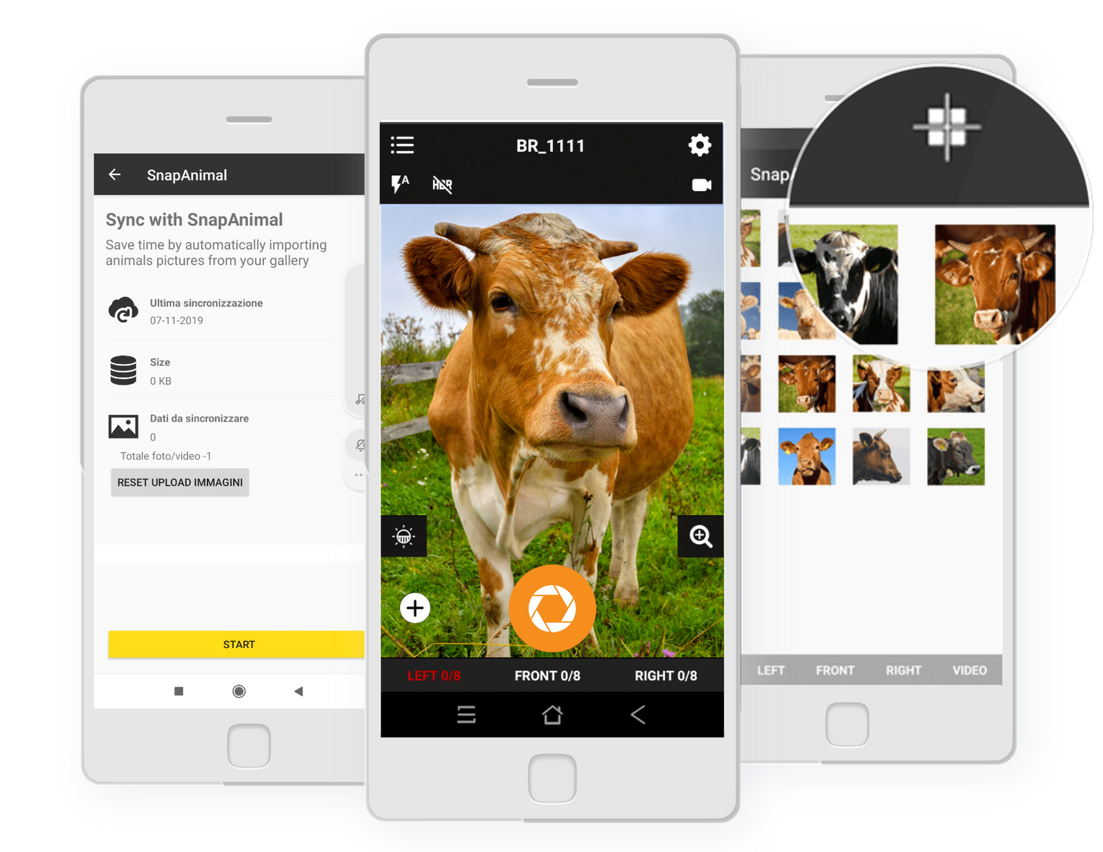 Snap Animal App