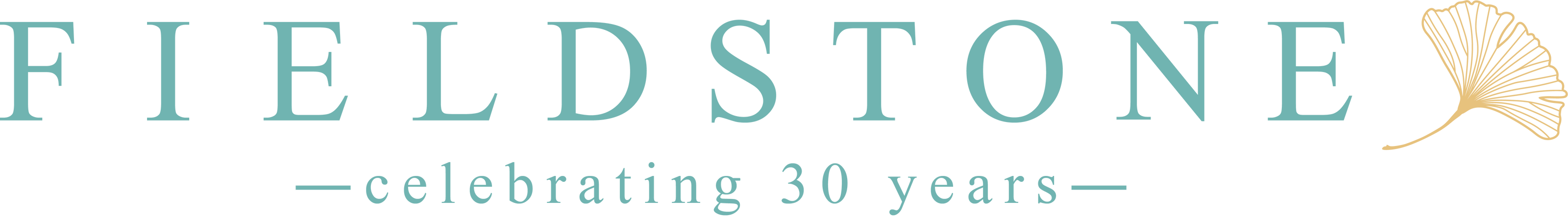 Discover Fieldstone | Creating Connections. Guiding Success