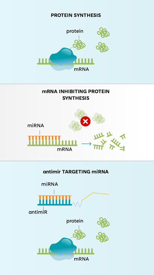 Our Approach & Focus