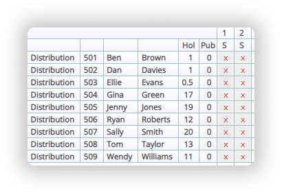 How do I keep track of my team’s holiday entitlement?