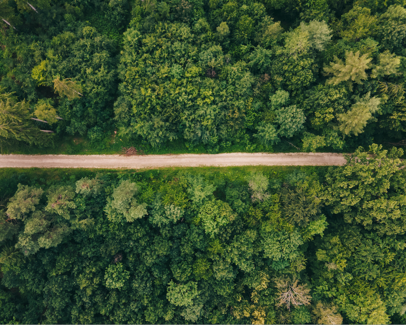 Scale up | Major project | BehaviourWorks Australia