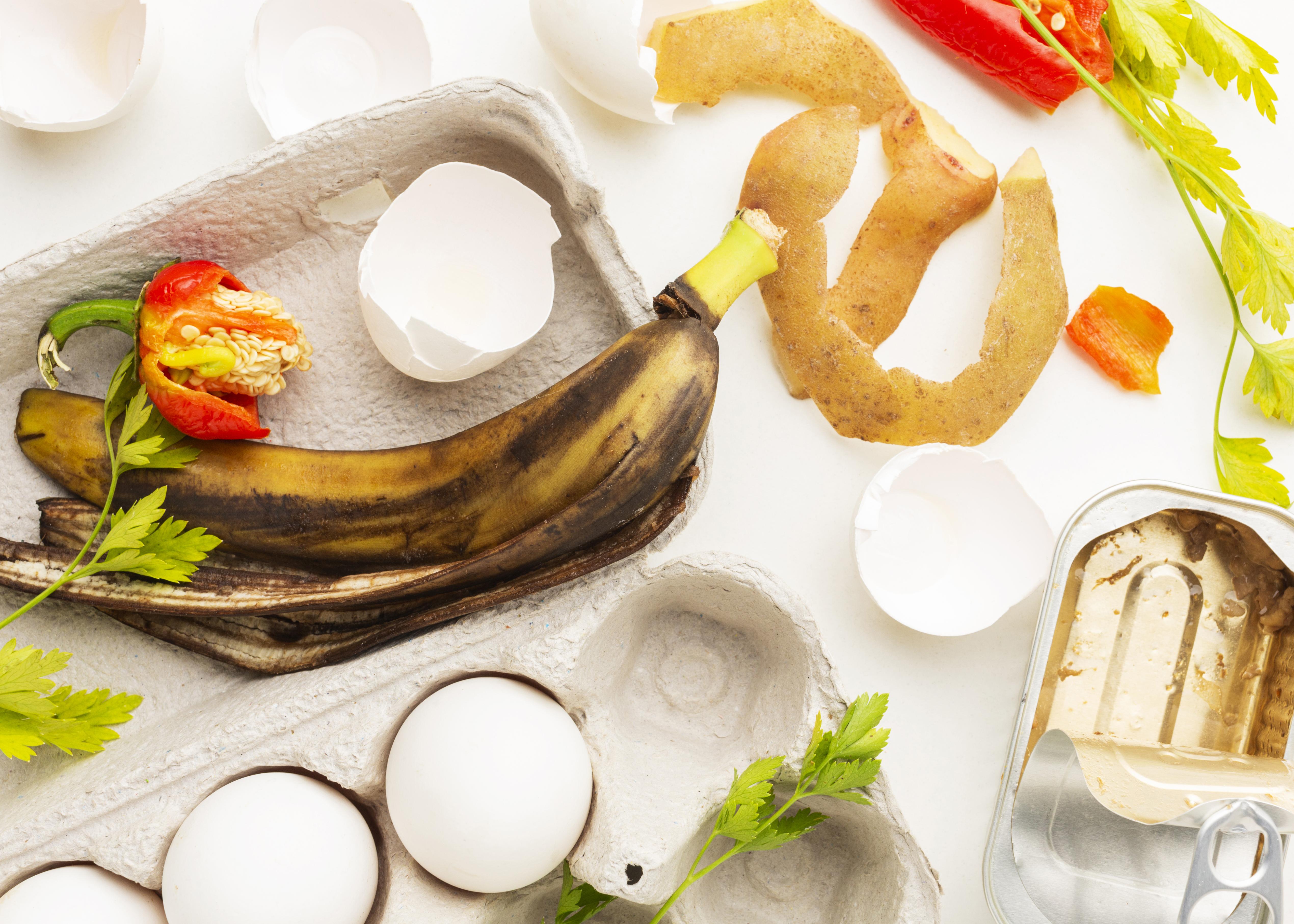 Scale up | Major project | BehaviourWorks Australia