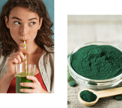 The Best Organic Chlorella | The Chlorella Company