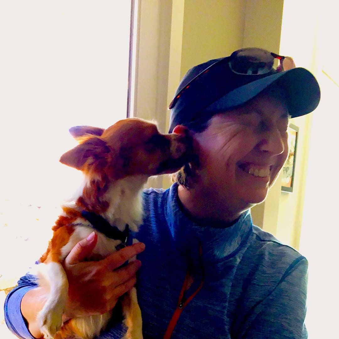 Wiggly Tails Dog Rescue