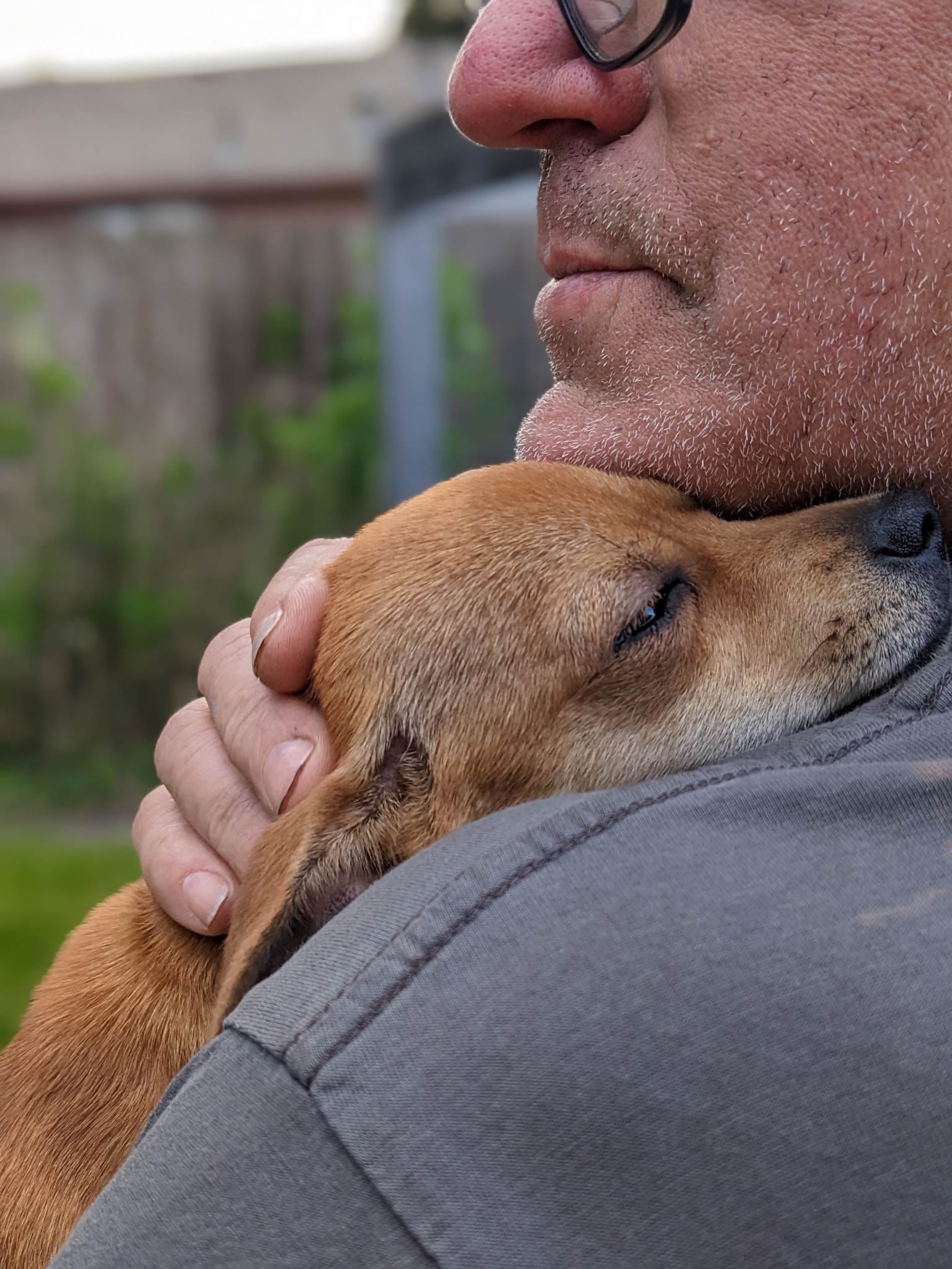 Wiggly Tails Dog Rescue