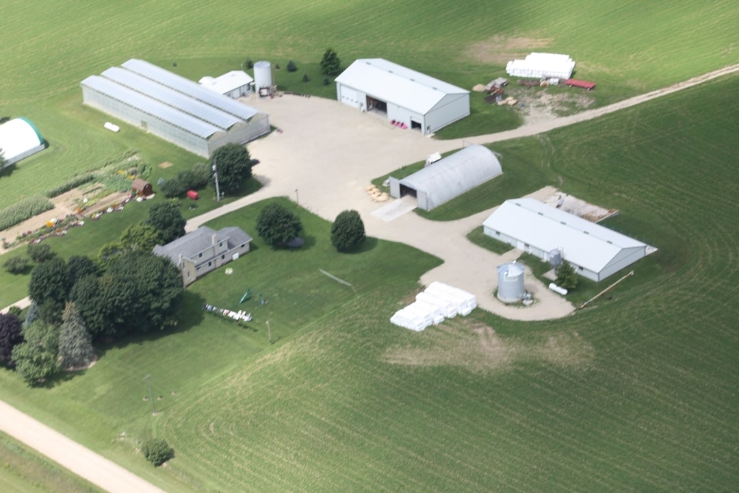 Home | Green Bush Kennel