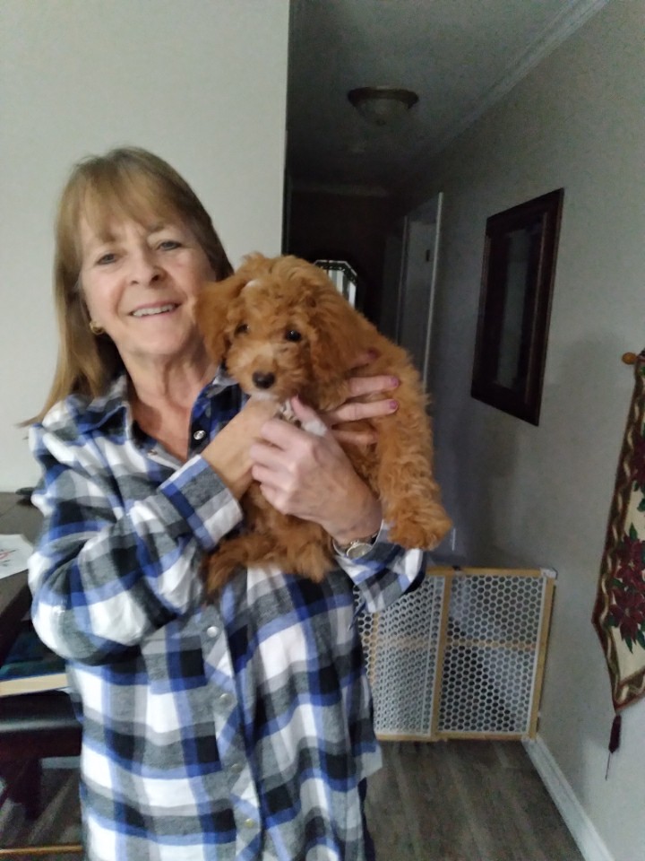 Testimonials | Green Bush Kennel