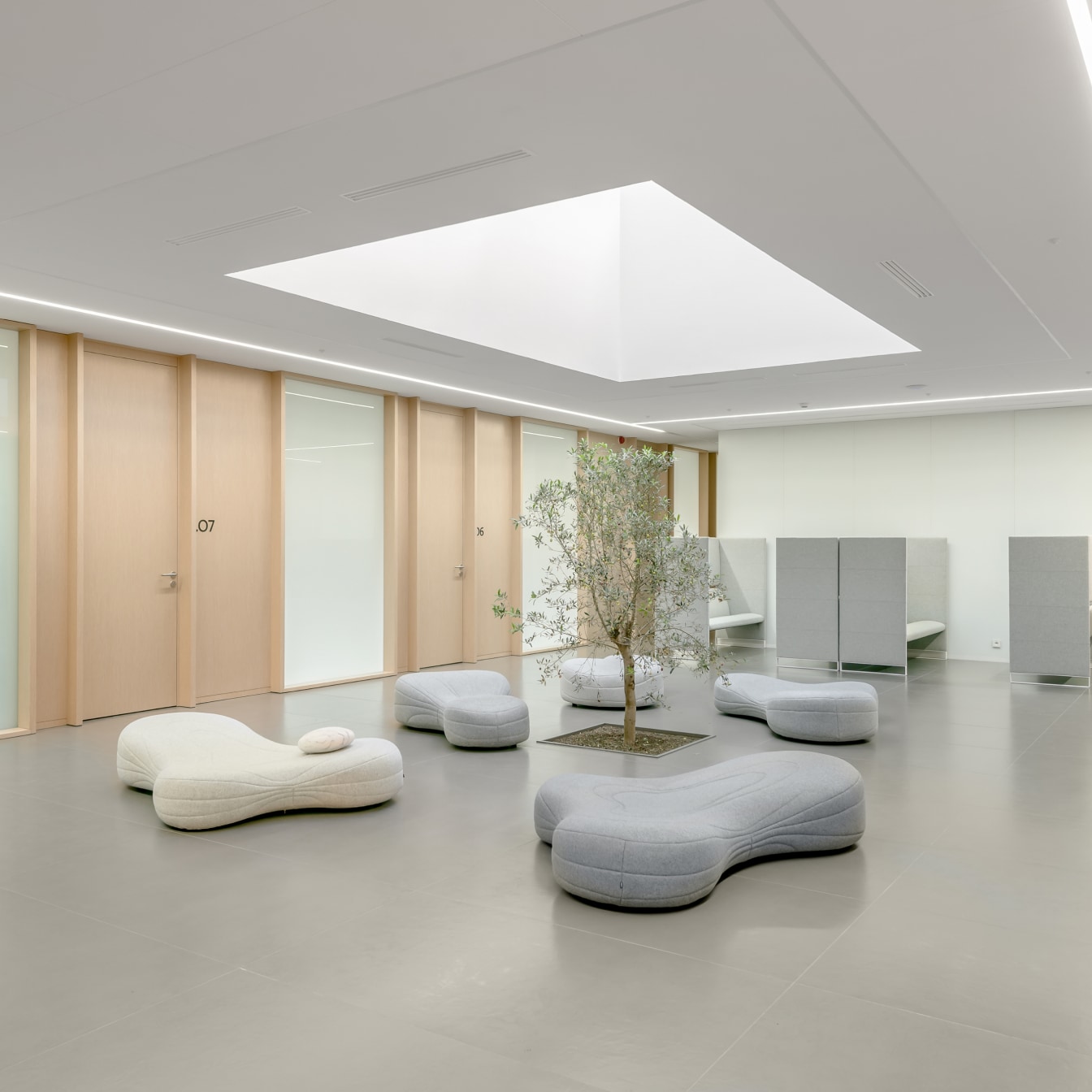 Bialmed interior