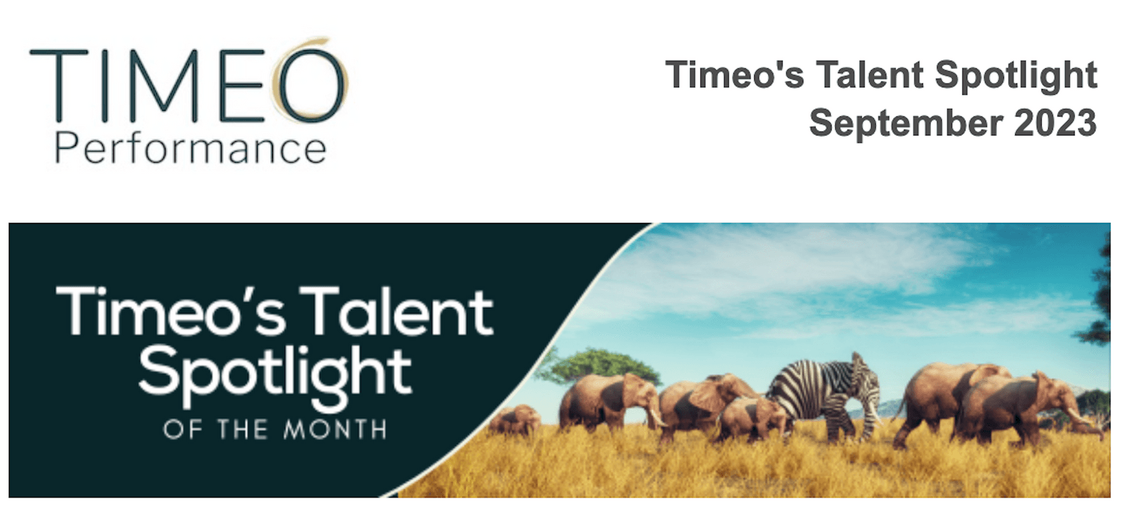 Timeo Performance - The Skills Factory for your performance
