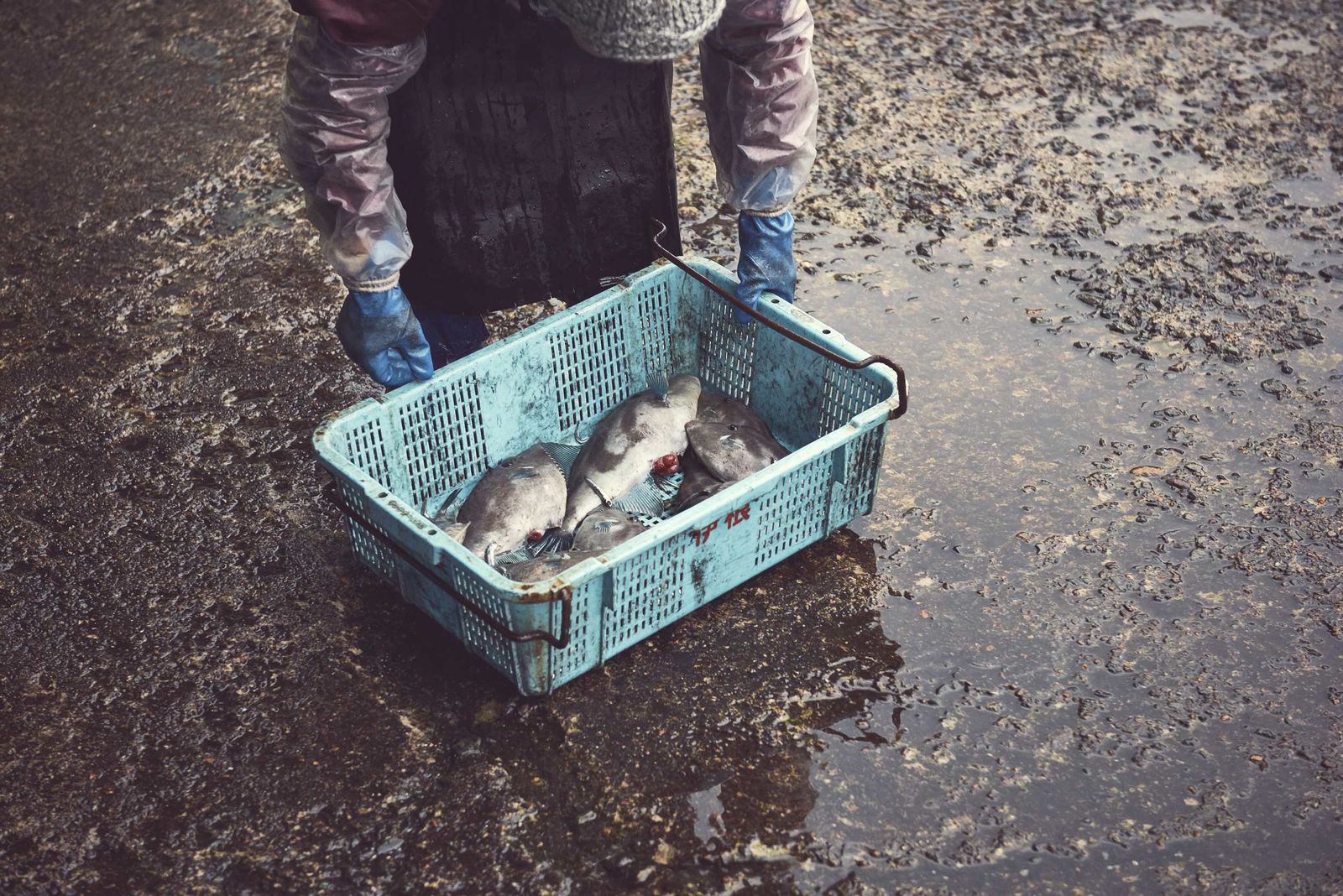 The Fisherman of Ine Bay - Sam Bénard Photography