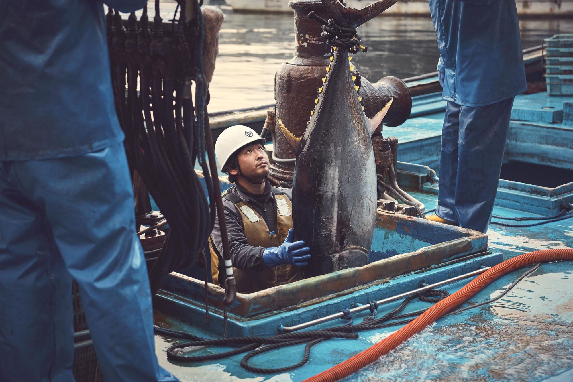 The Fisherman of Ine Bay - Sam Bénard Photography