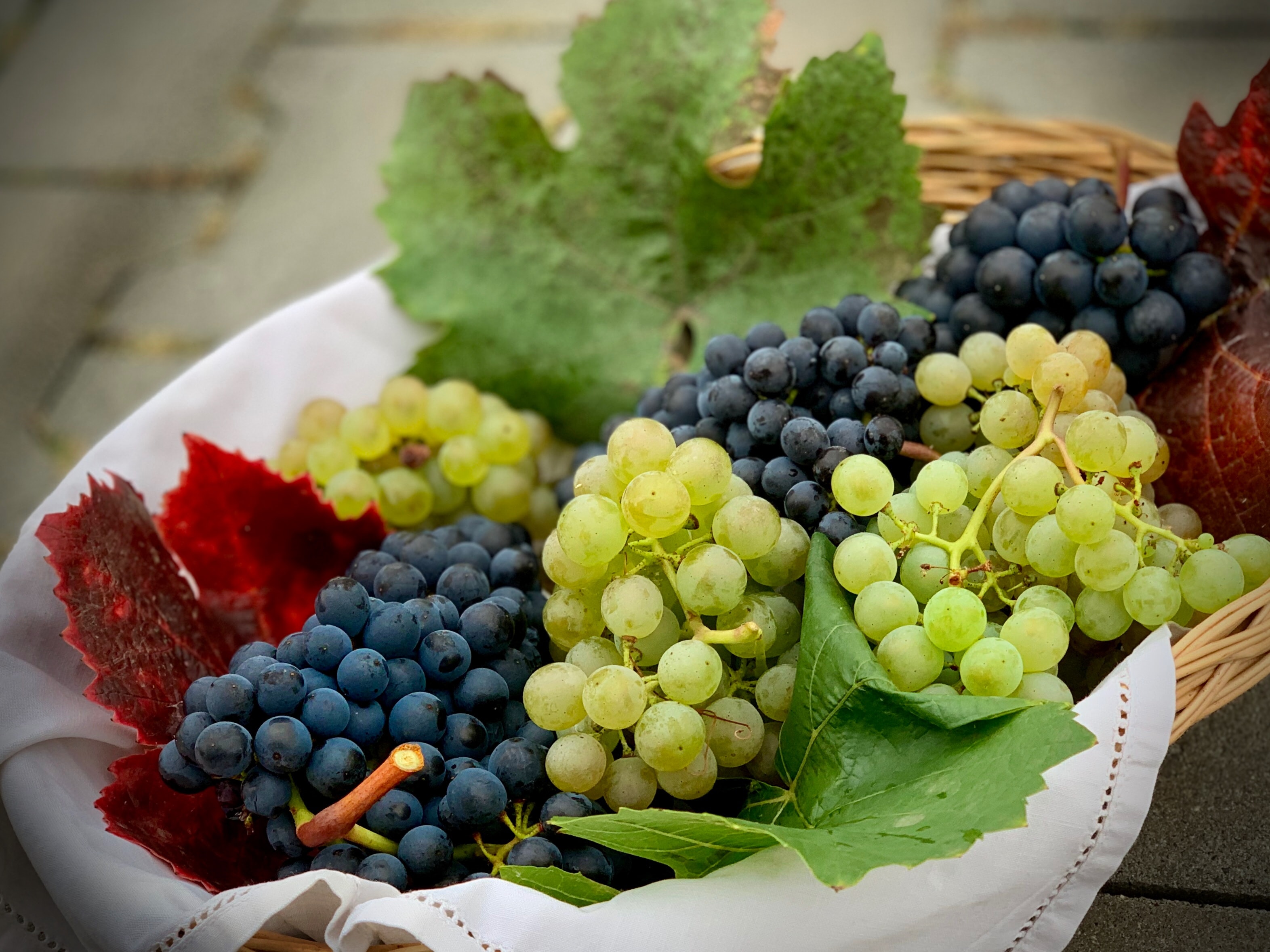 Is Grapes Good For Diabetes Sugar Fit Is Grapes Good For Diabetes Sugar Fit