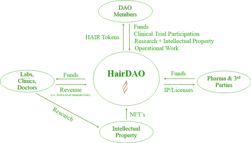 HairDAO